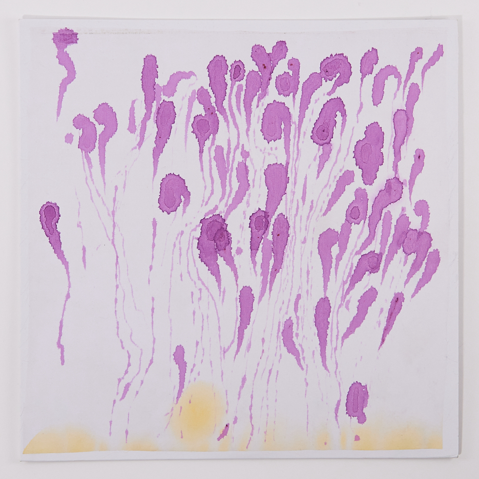 Stewart Uoo for 7038634357’s Neo Seven Edition 1/4 | Blank Forms